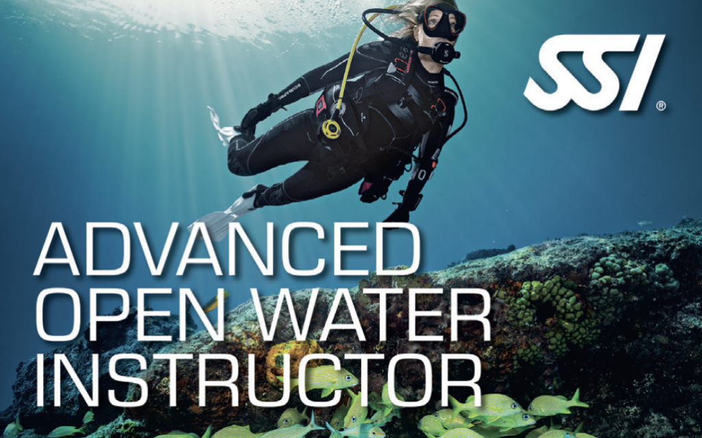 Dive Mentor | Courses & Programs - Dive Mentor